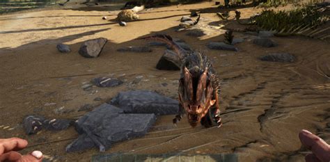 Epic Games Launcher Activate On Your ARK Survival Evolved Server