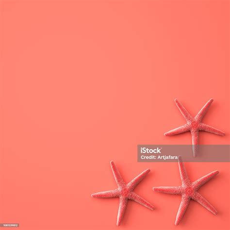 산호 색깔 년 2019의 생활 최신 유행 색상에 불가사리와 배경 빨강에 대한 스톡 사진 및 기타 이미지 빨강 0명 2019년 Istock