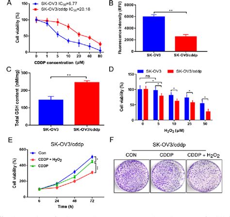 Figure 1 From Gadd45α Alleviates The Cddp Resistance Of Sk Ov3cddp