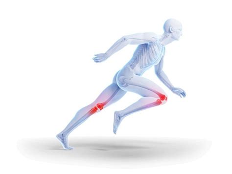 人体三维 3d 各种痛 透视骨骼