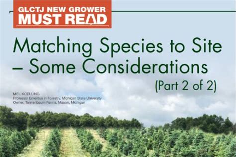 Matching Species To Site Some Considerations Part Two Christmas Trees