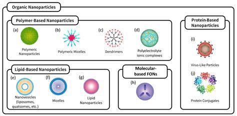 Pharmaceutics Free Full Text Fluorescent Multifunctional Organic