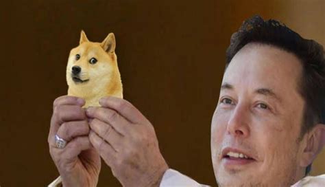 อีลอน มัสก์ เตือนนักลงทุนคริปโต หลัง Dogecoin พ