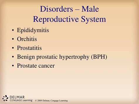 Ppt Chapter 21 Powerpoint Presentation Free Download Id6889751