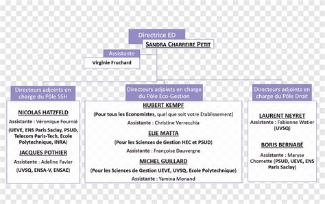 Document Organization Line Diagram Font Line Text Media Png PNGEgg
