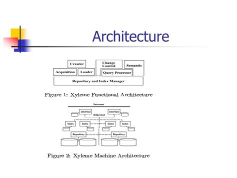 Ppt Xyleme Powerpoint Presentation Free Download Id4550597
