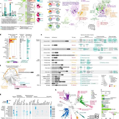 Chromatin Evolution And Eukaryogenesis A Summary Of Ancestral States Download Scientific