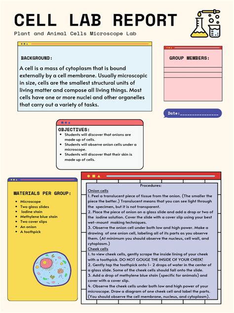 Cell Lab Report Pdf Cell Biology Staining