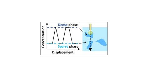 In Situ Evaluation Of The Polymer Concentration Distribution Of Microphase Separated