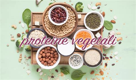 Proteine Vegetali Quali Sono Gli Alimenti Che Ne Contengono Di Più