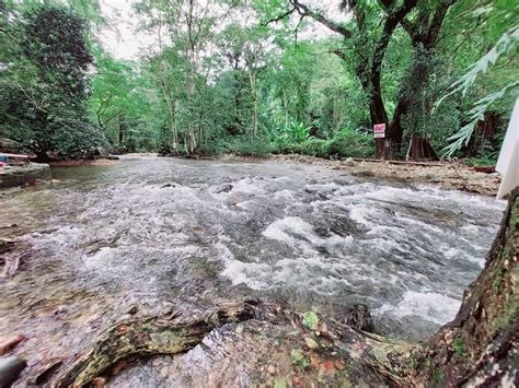 สวนลุงพร คลองมะเดื่อ จ่ายเพียง 20 บาท เข้าไปนั่งชิลริมลำธาร แช่ตัวในแหล่งน้ำใสธรรมชาติ