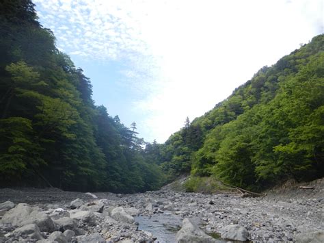 大井川源流部原生自然環境保全地域 南アルプスの宝箱 〜南アルプス魅力発信・環境学習サイト〜