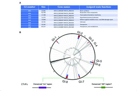 Genomic Islands In F Spartansii T16 T A The 8 Genomic Islands