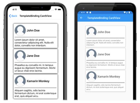 Explain Controls Template In Xamarin Forms By Ifour Technolab