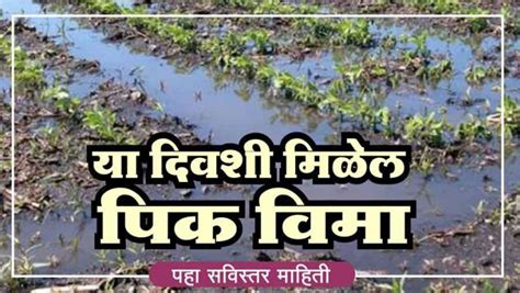 पिक विमा लवकरच मिळणार मंत्र्यांनी दिली माहिती Digital Dg