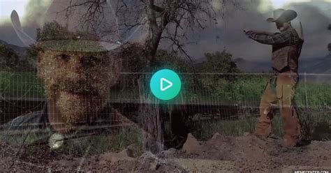 Mrw I Ace My Final Exams  On Imgur