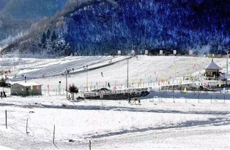 重庆冰雪旅游季没下雪怎么玩？ 重庆自由行重庆旅游攻略【重庆自由行门票预订】