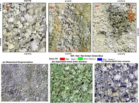 orthomosaics in false color composite and different stages of