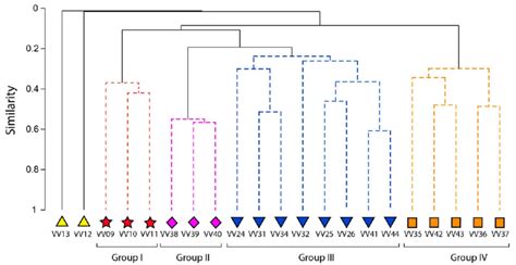 Cluster Based On Bray Curtis Similarity Index And Abundance Data Of