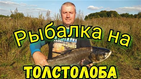 Рыбалка на толстолоба Youtube