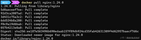 Windows下docker中安装nginx（图文超详细）nginx安装 拉取镜像 访问 Dockerhub 查找所需的 掘金