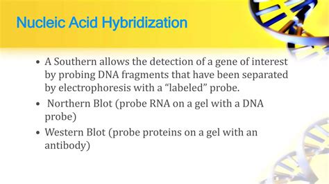 Recombinant Dna Technology Pptx