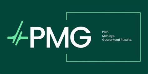New Logo Alert Pmg Software Professionals Llc