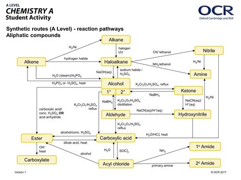 359182 Organic Synthesis Reaction Pathwayspdf