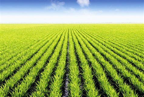 农业部发布《农业物联网发展报告2016》农机通讯社 农业部发布《农业物联网发展报告2016》农机通讯社