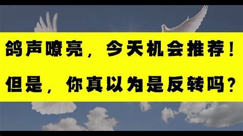 新缠美股8 1：盘前震荡，日内追高和回落机会策略要看全！加仓布局：spy、tsla、nvda！amd上中长线！meta能上520吗！mara