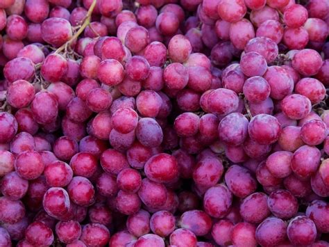 20 Popular Types Of Fruit And Classification Complete Guide 2023
