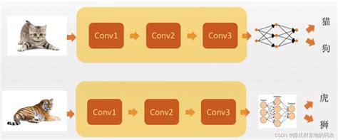迁移学习的个人学习记录 Csdn博客