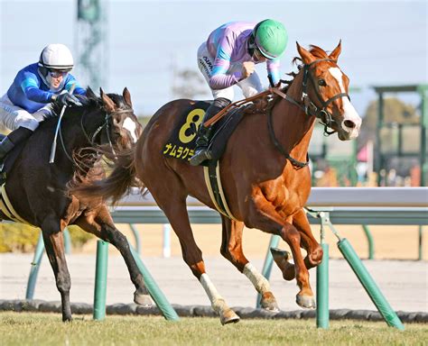 【紅梅s】重賞5勝ナムラクレアの妹が桜花賞へ賞金加算 「この1勝はすごく大きい」長谷川調教師も満面の笑み スポーツ報知
