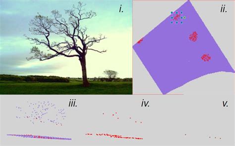 I A Healthy Control Tree Tree A Ii Tree A In The Larger Data