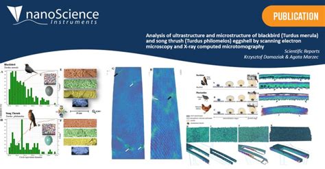 Nanoscience Instruments On Linkedin Electronmicroscopy Lifescience