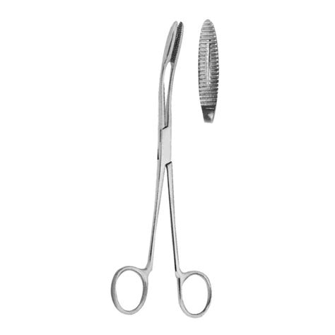 Extracting Forcep Surgical Region