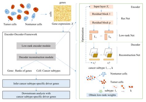 Workflow Of CSDGI After Data Pre Processing For Real Tumor ScRNA Seq