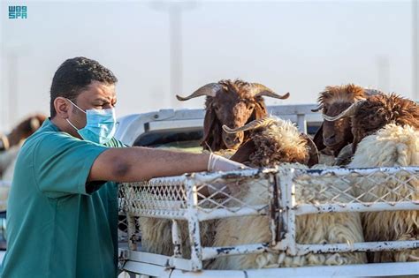 صحيفة صراحة الإلكترونية بيئة القصيم تطلق خطه تشغيلية للأسواق