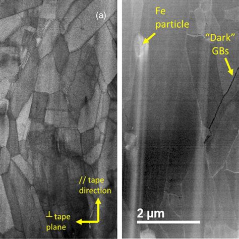 A Bright Field Scanning Transmission Electron Microscopy Stem Image