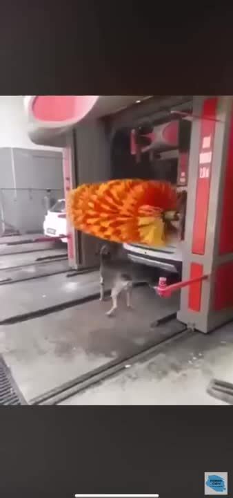 Ajay Kumar Gupta On Linkedin I Recently Came Across A Public Video