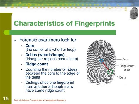 Fingerprints History and Anatomy - ppt download
