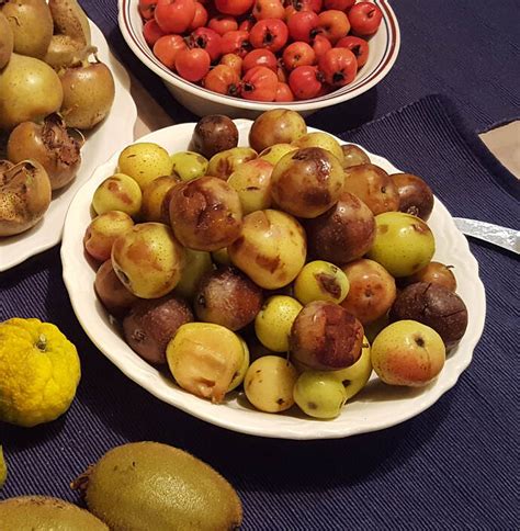 Sorbus Domestica General Fruit Growing Growing Fruit