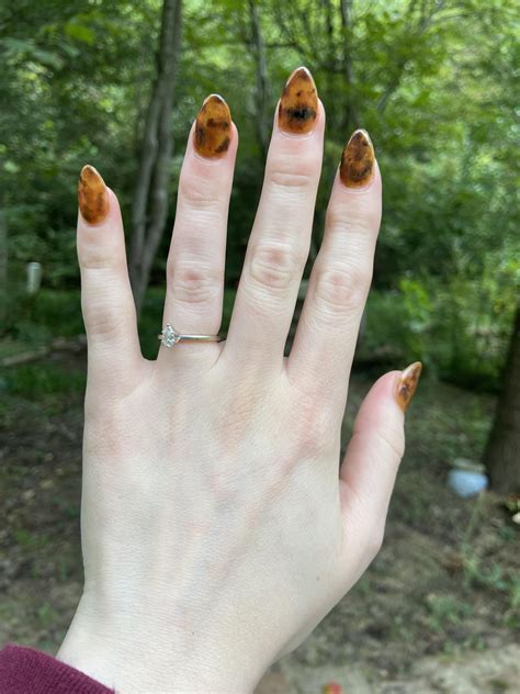 My First Attempt At Tortoise Shell Nails Rnails