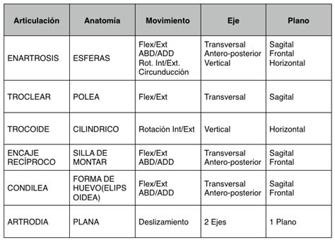 Actividad Física Saludable Tema 2 Planos Y Ejes De Movimiento