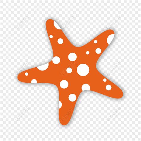 불가사리 Png 일러스트 무료 다운로드 Lovepik