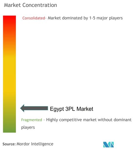 이집트의 3pl 시장 기업 및 산업 규모