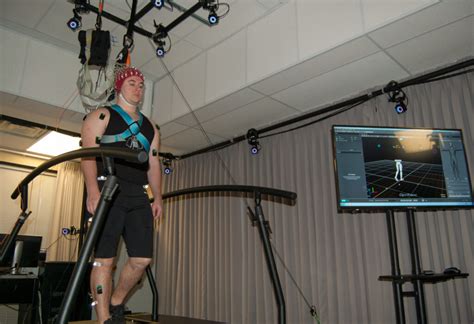 Phd In Biomedical Engineering