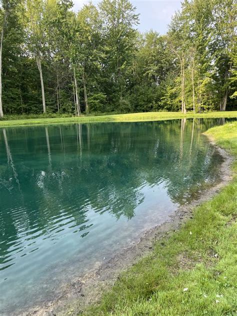 Crystal Blue Copper Sulfate Crystals Pond Treatment Lb At Tractor Supply Co