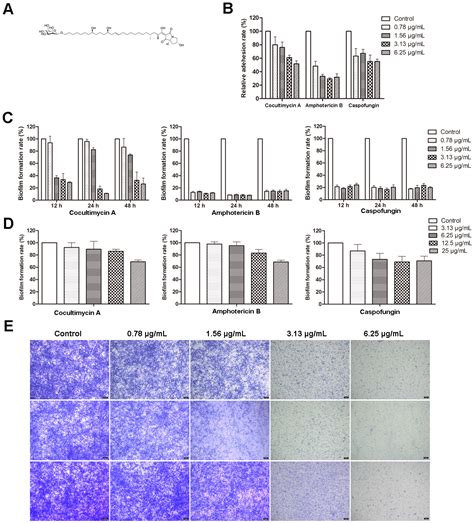 Anti Biofilm Activity Of Cocultimycin A Against Candida Albicans