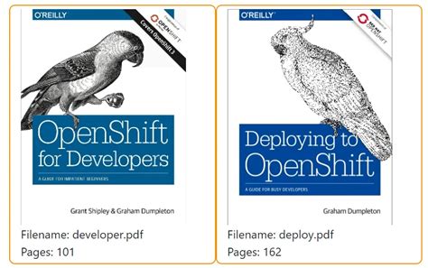Openshift Persistent Storage With A Spring Boot Example